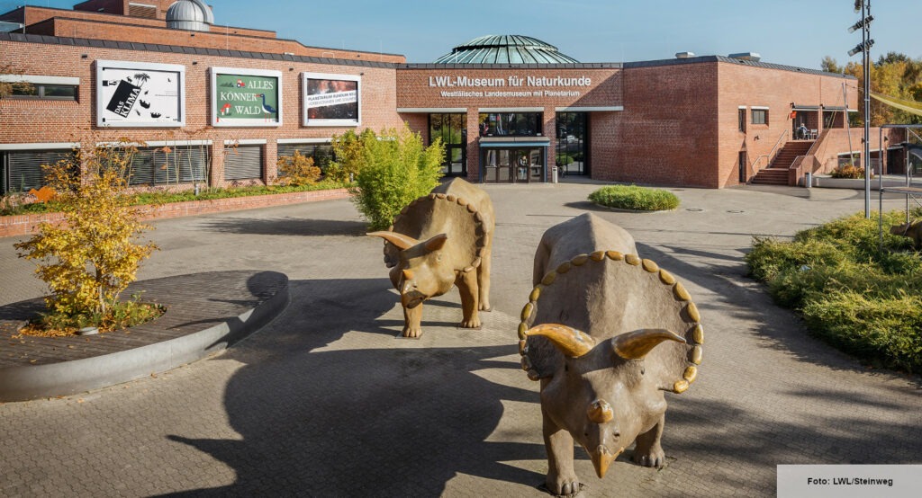 Museum Kinder Nrw